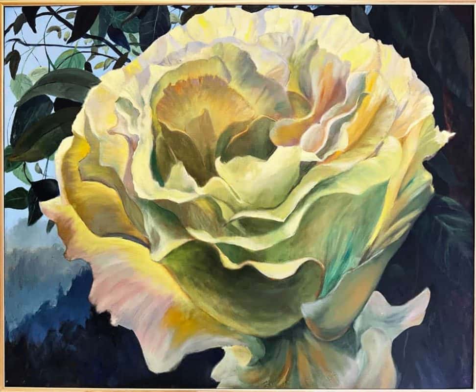 Evening Rose by Roger Beale - Roger Beale AO