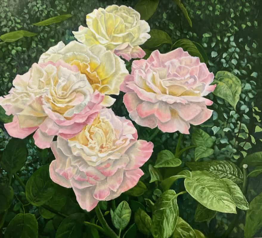 Portfolio - Roger Beale AO